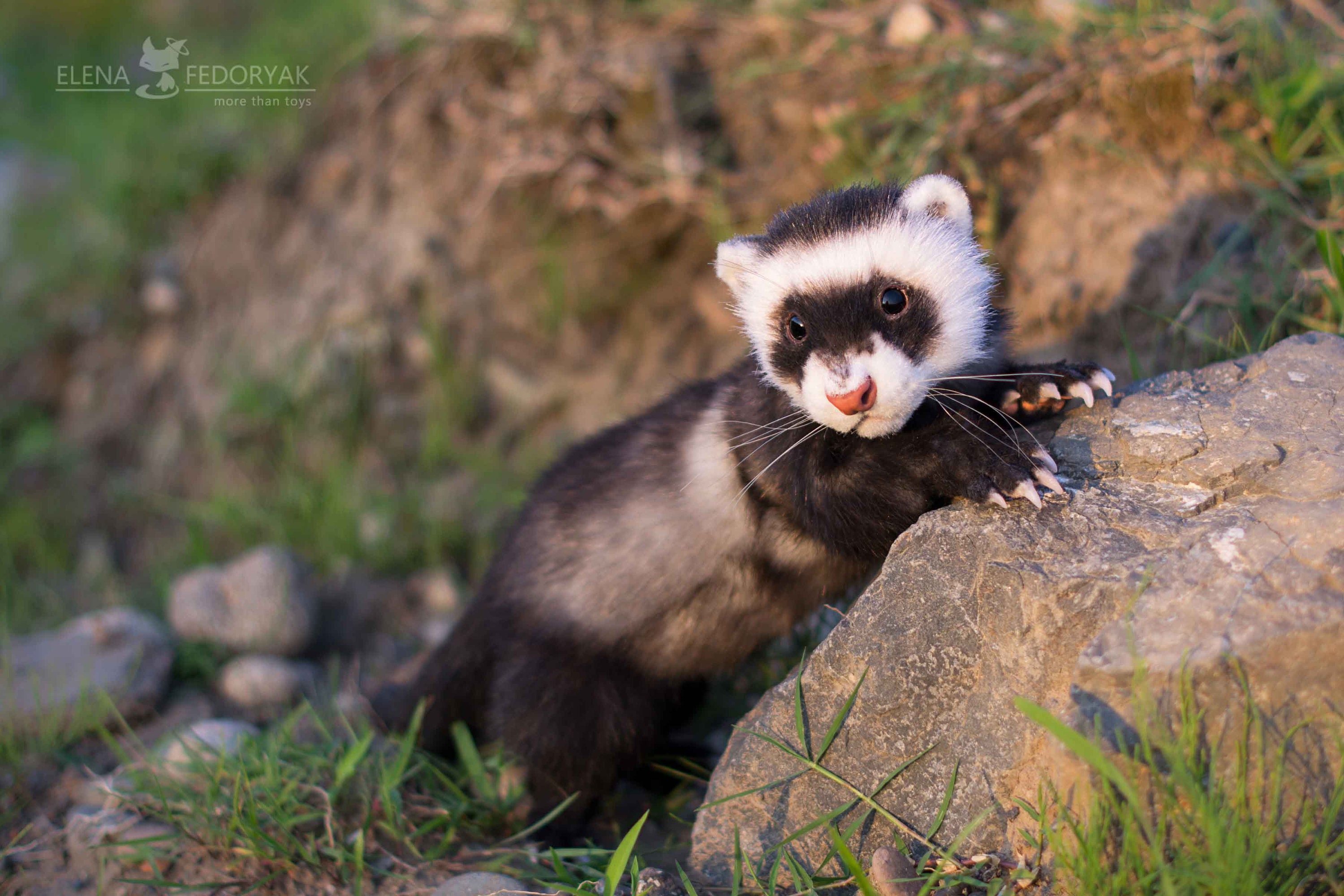 Ferret - Realistic Poseable Toy (MADE to ORDER) - Etsy