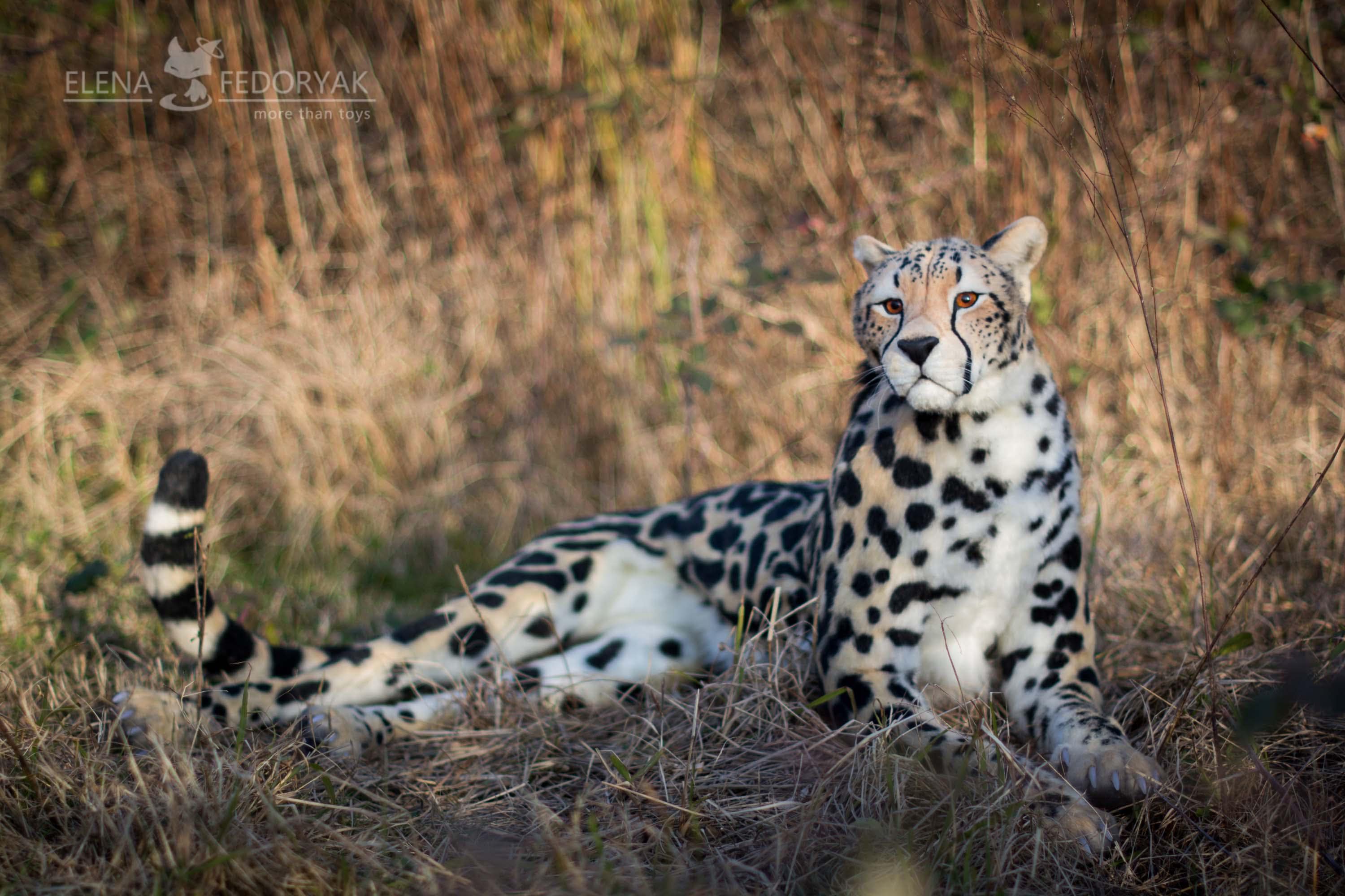 King Cheetah . Real Size Poseable Realistic Toy. OOAK. Handmade ...