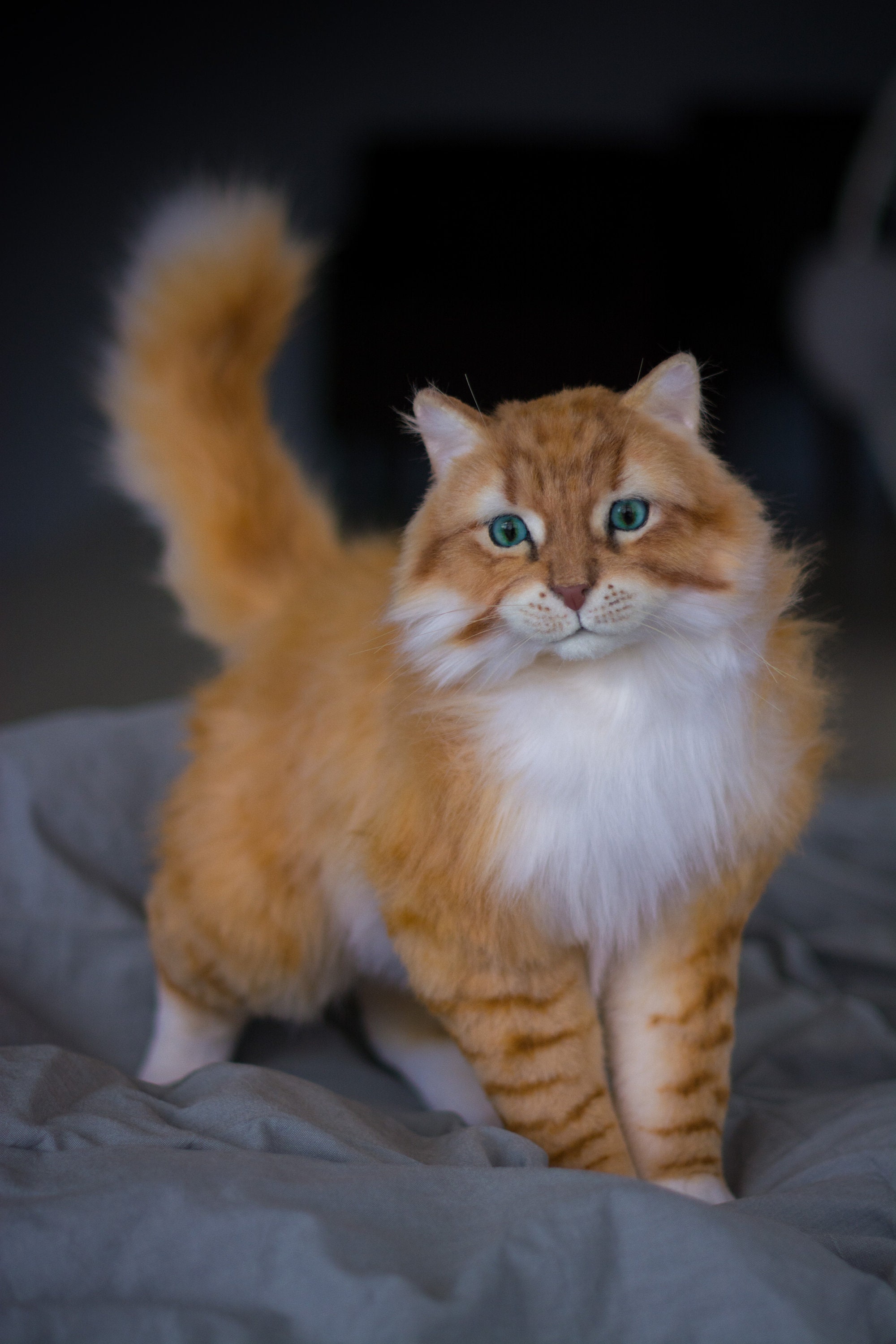 Mercury Ginger Cat. Realistic Cat Toy. OOAK Artist Handmade Collectible ...