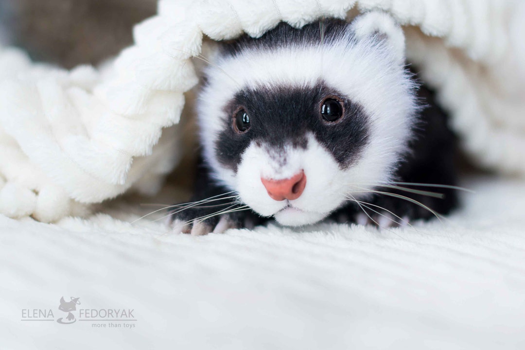 Ferret doll store