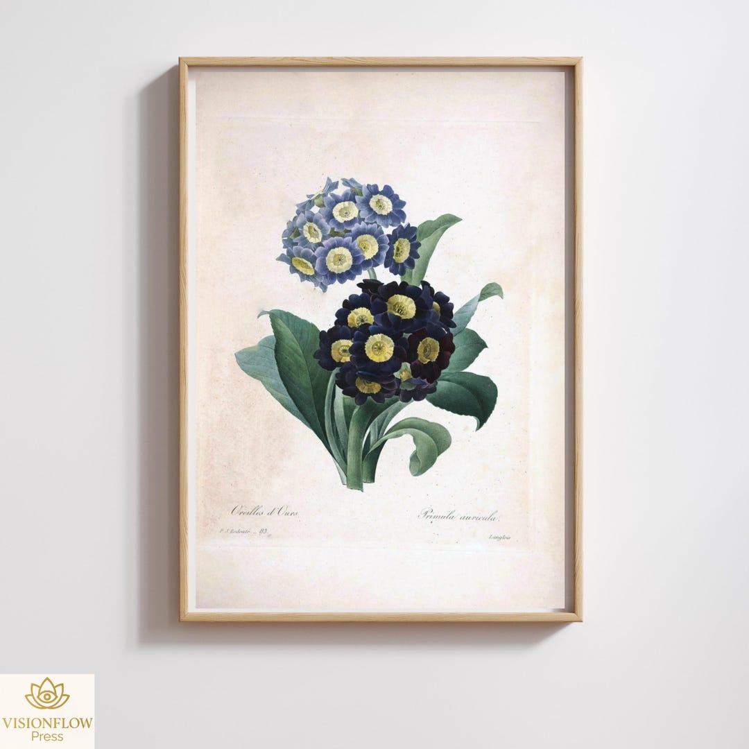 Vintage Botanical Print | Pierre-joseph Redouté | Primroses | Restored ...