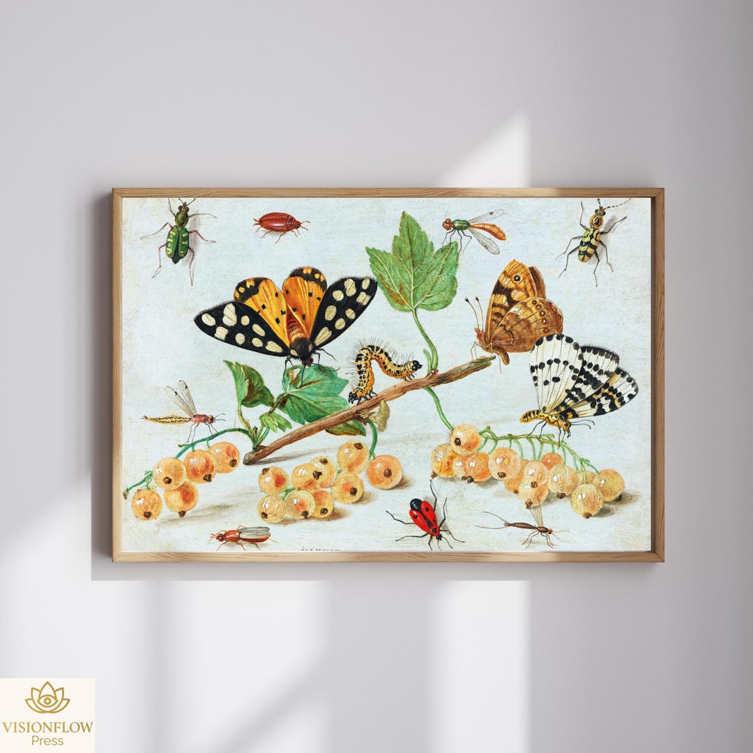 Restored Vintage Insect & Berry Botanical Print | Rijksmuseum ...