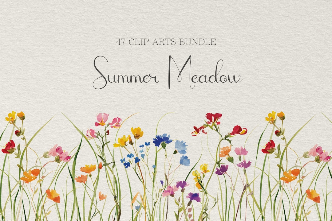 Summer Meadow Wildflower Clipart, Watercolor Boho Floral Bundle ...