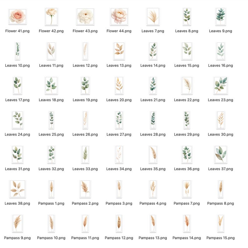 Watercolor Boho Floral Clipart Bundle: Roses, Pampas Grass (digital ...