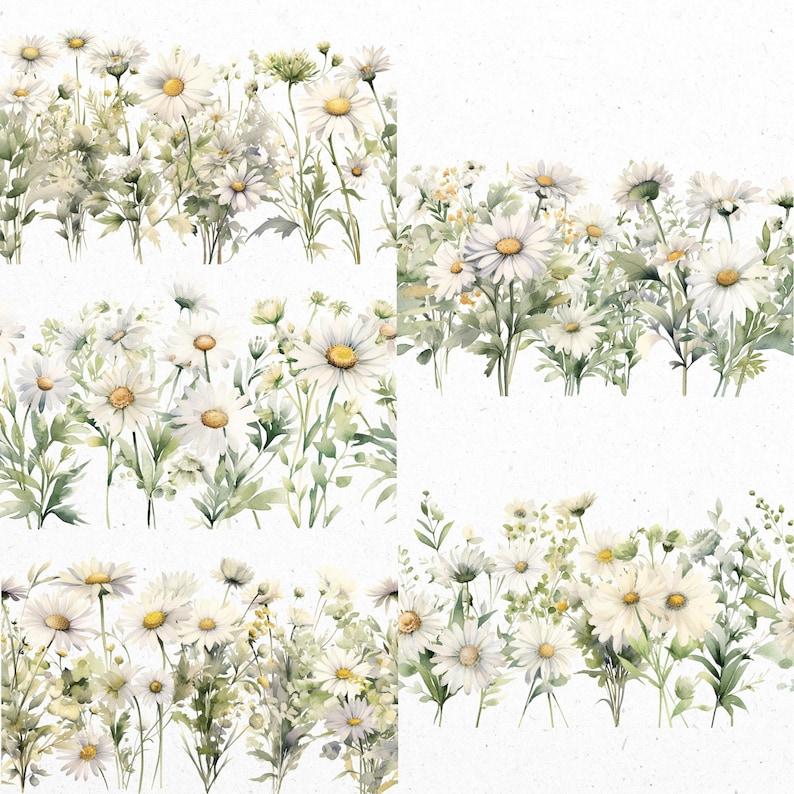 Watercolor Daisy Borders and Frames: Cottagecore Clipart (digital ...