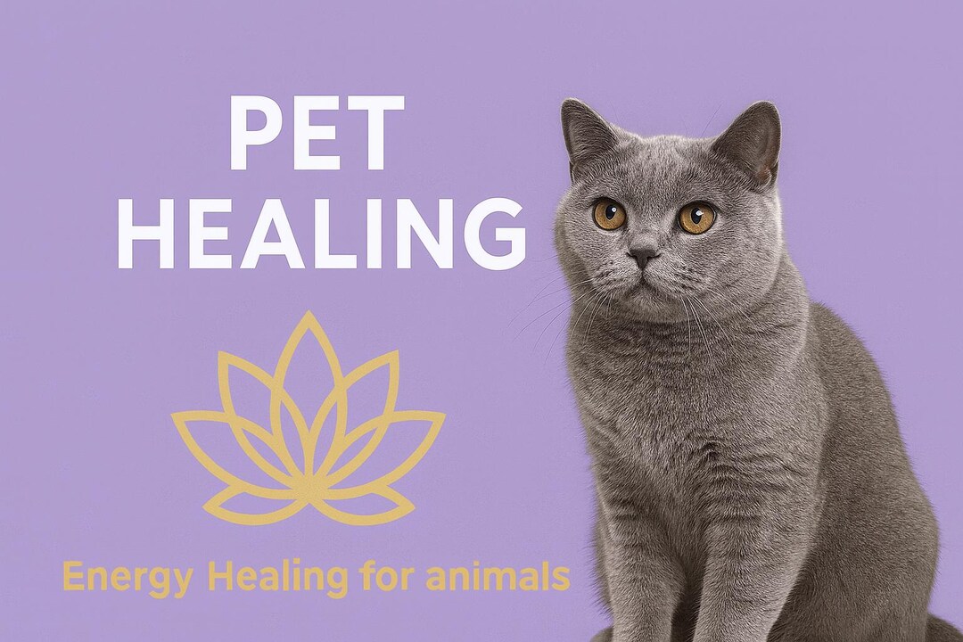 Pet Healing | Digital Report | Distance Energy for Animals - Etsy