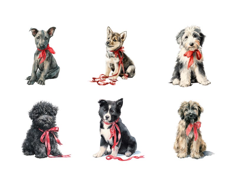 Christmas Dog Clipart Bundle: Holiday Floral PNG Images (digital ...