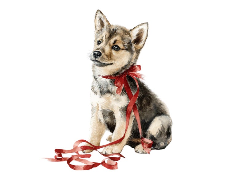 Christmas Dog Clipart Bundle: Holiday Floral PNG Images (digital ...