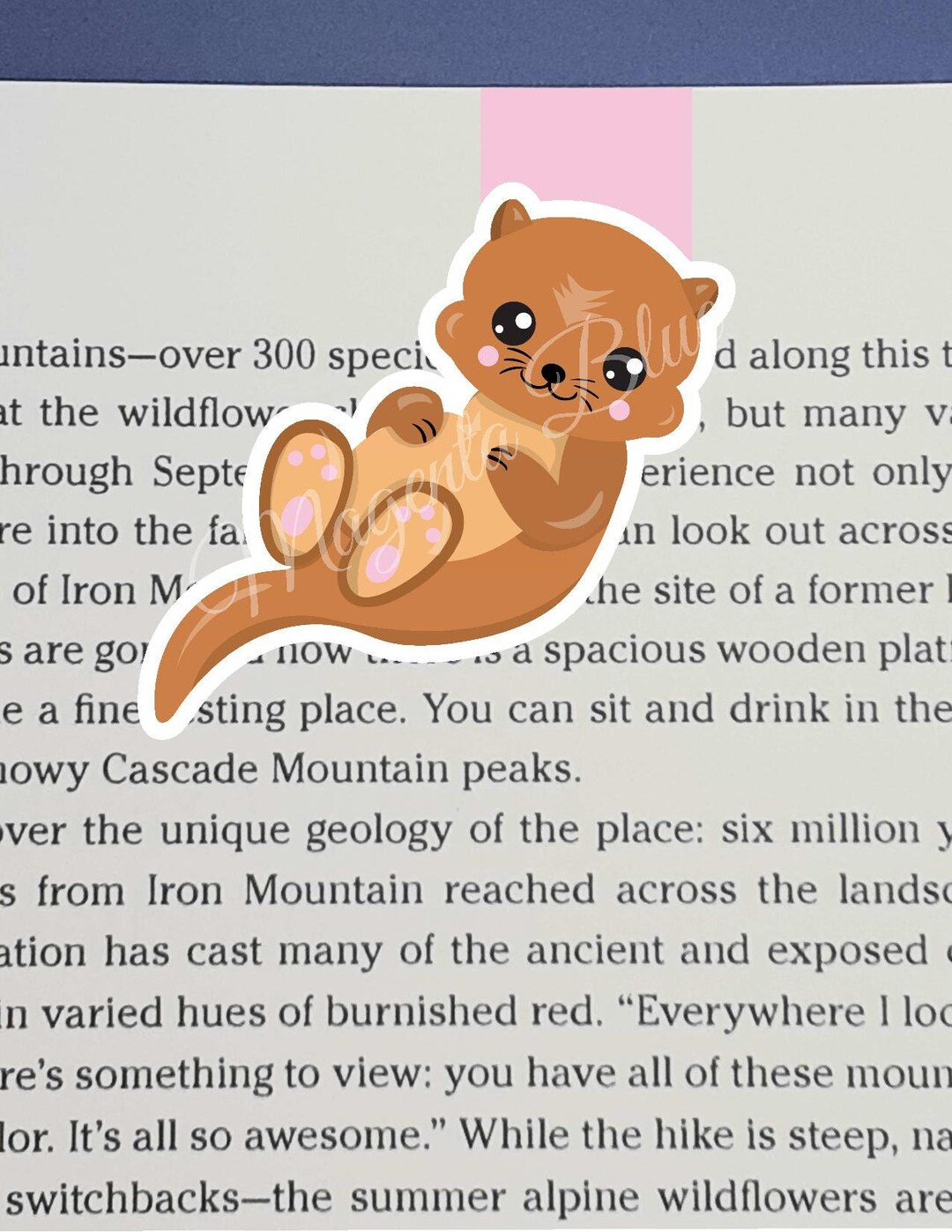 Otter Magnetic Bookmark Planner Bookmark Otter Bookmark - Etsy