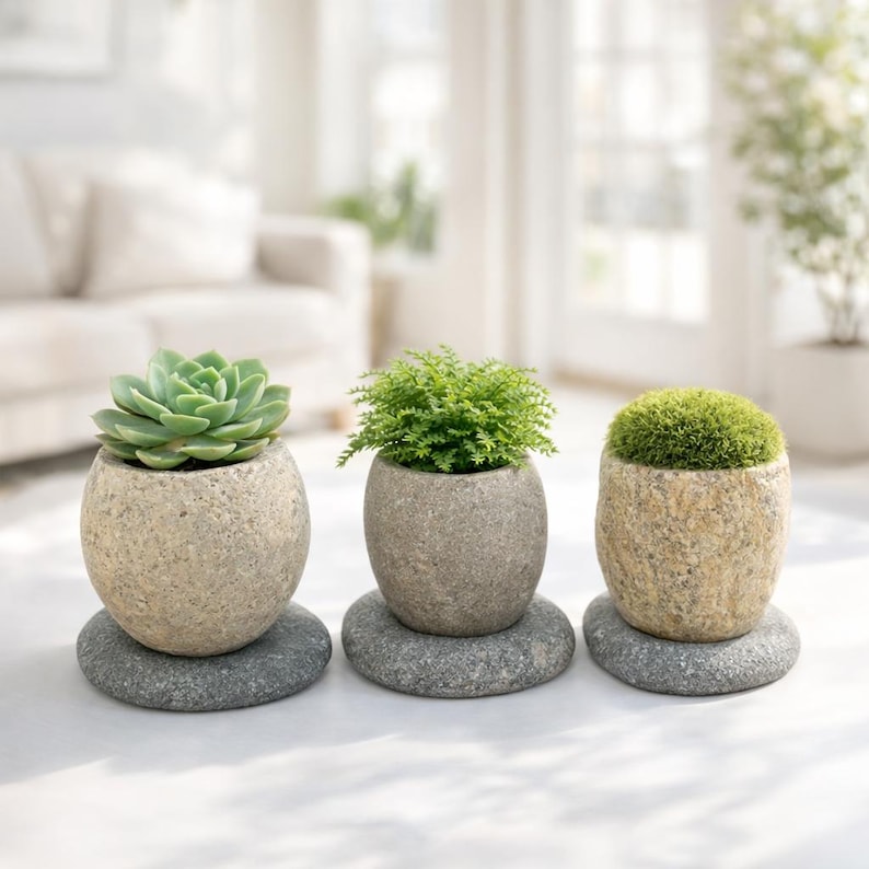 Mini Stone Planter for Succulents | Natural Pebble Succulent Pot With ...