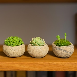Miniature Stone Planter for Bookshelf Decor | Tiny Pebble Succulent Pot ...