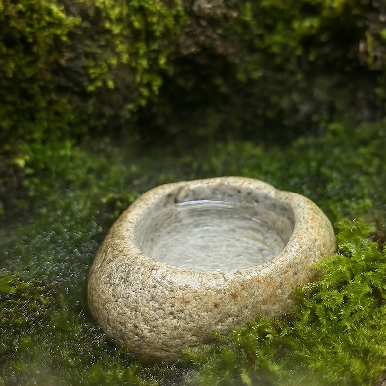 Paludarium Mini Water Pool – Natural Stone Water Dish for Terrariums ...
