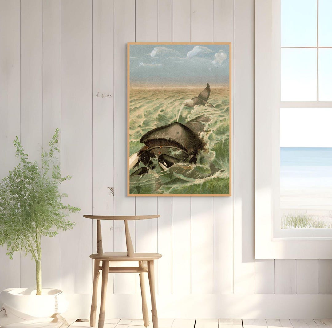 Vintage Whale Illustration Wall Art for Study Room Display Dark ...
