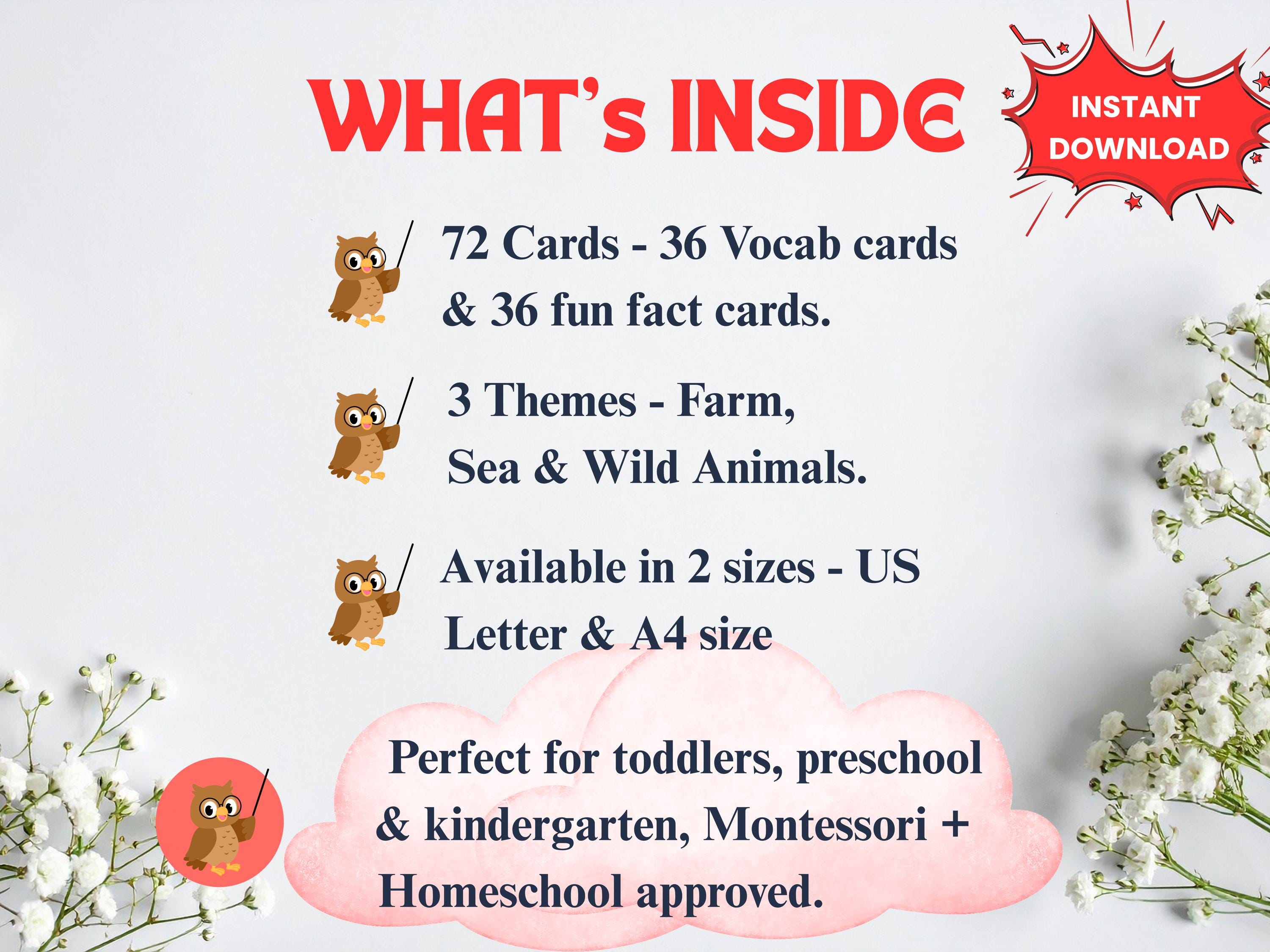 Animal Flashcards | Sea + Farm + Wild Set. for Preschoolers/ Animal ...