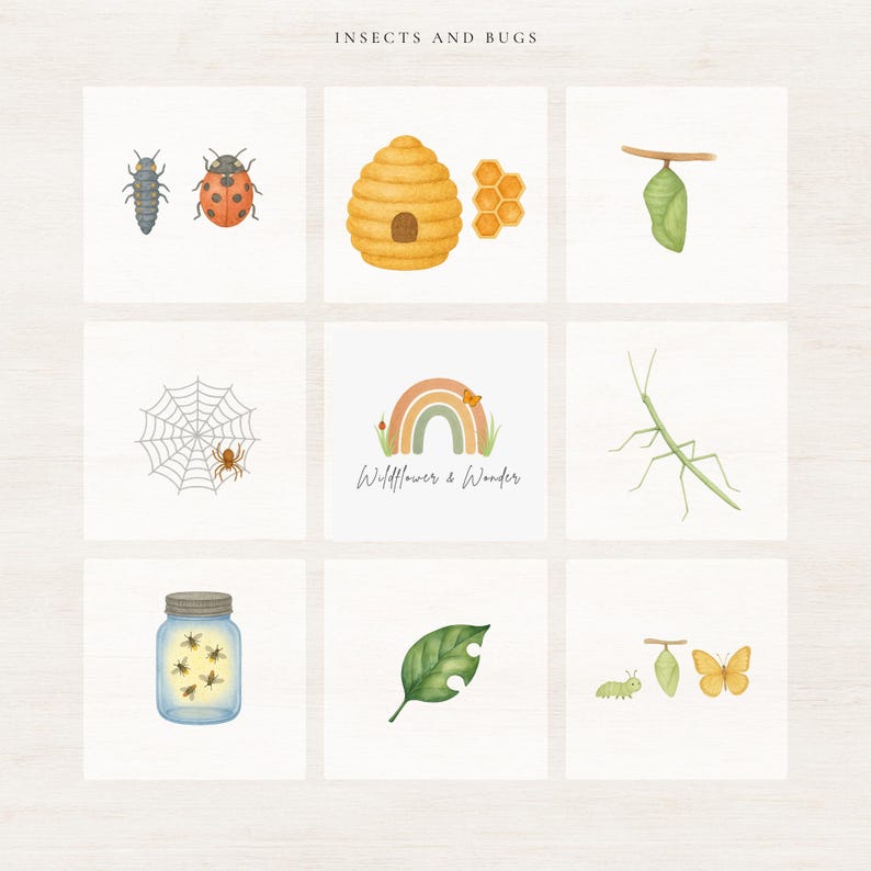 Insects and Bugs Watercolor Clipart | Cute Watercolor Pngs | Nature ...