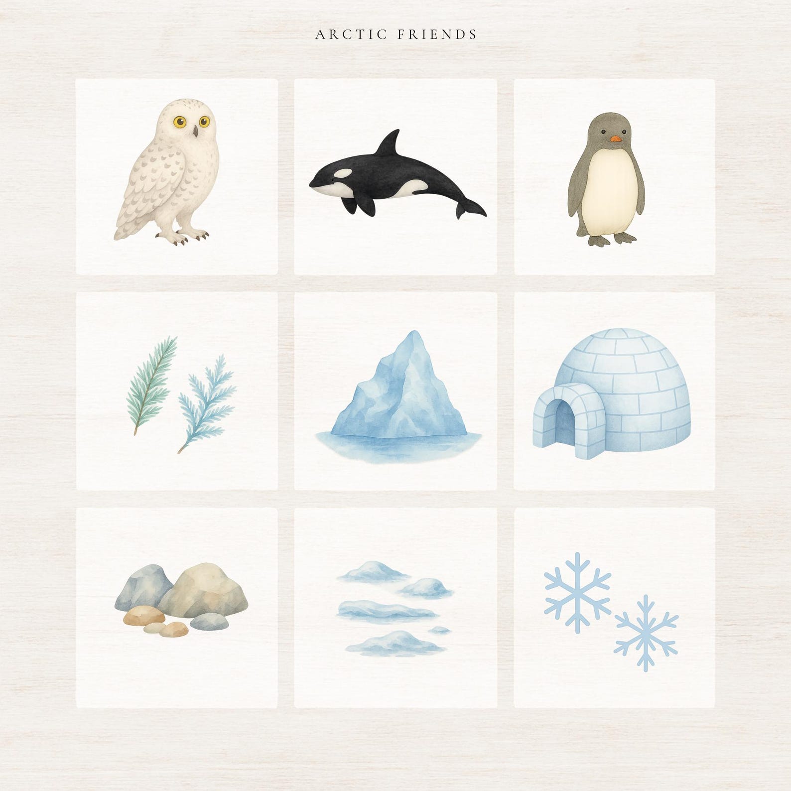 Arctic Animals Clipart | Polar Creatures Watercolor PNG | Winter ...