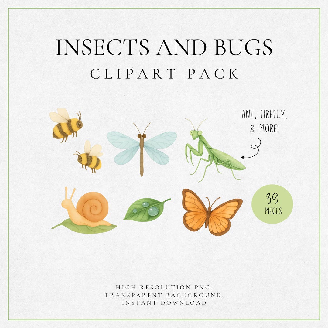 Watercolor Insect Clipart | Bug Pngs (digital Download - Etsy