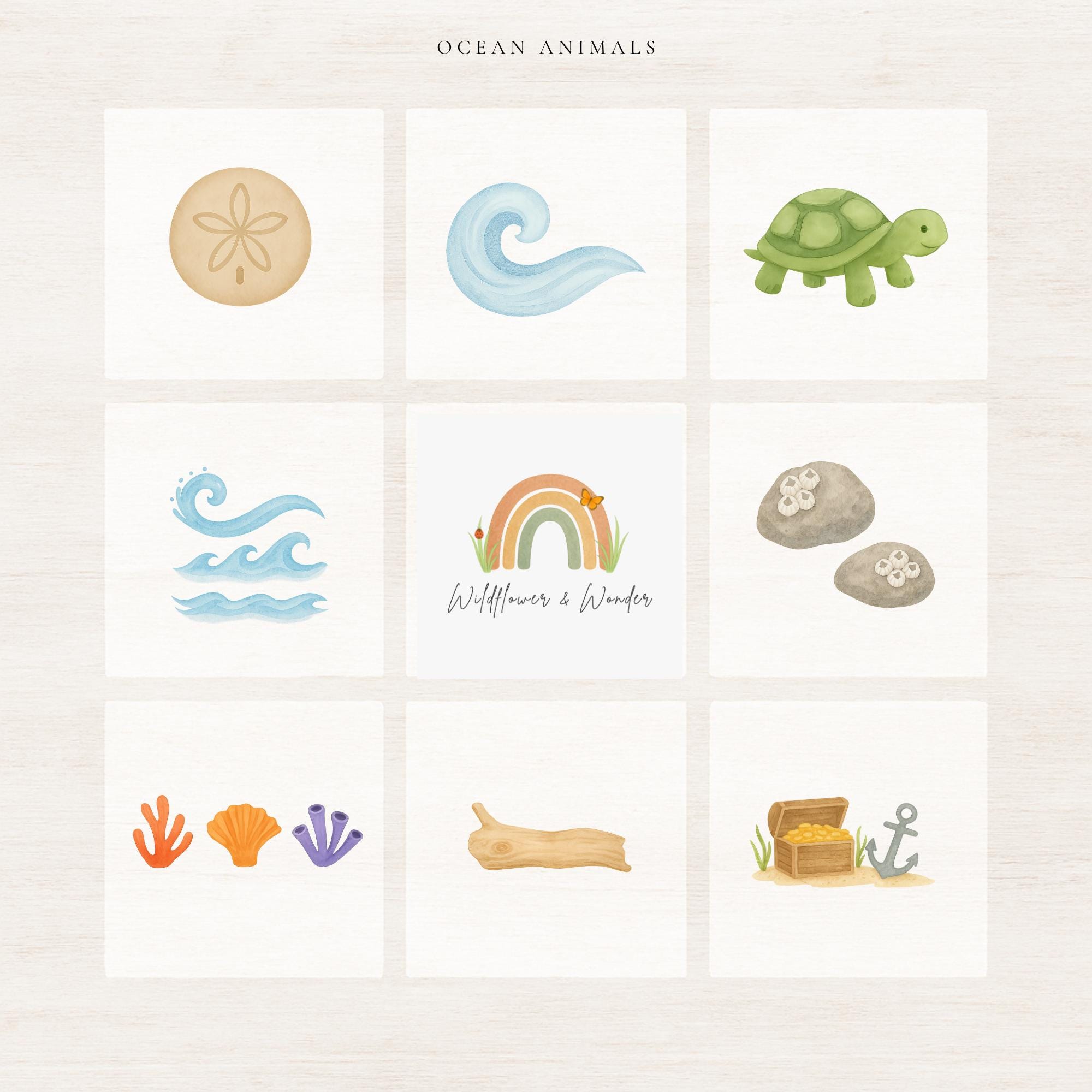 Watercolor Ocean Animals Clipart: Sea Creatures PNG (digital Download ...