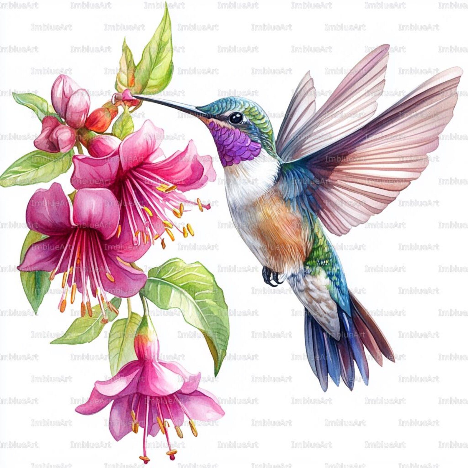 24 Hummingbird Clipart | Bird Feeding Art | Floral Bird | Printable ...