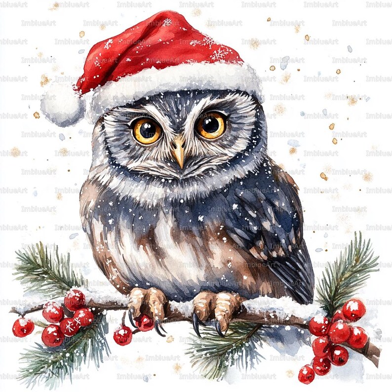 19 Christmas Owl Clipart | Holiday Bird Art | Winter Wildlife ...