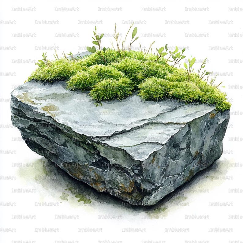 24 Mossy Stone Clipart, Forest Ground Texture Watercolor, Calm Nature ...