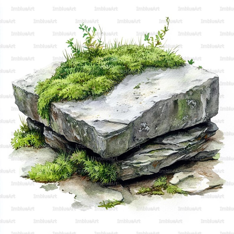 24 Mossy Stone Clipart, Forest Ground Texture Watercolor, Calm Nature ...