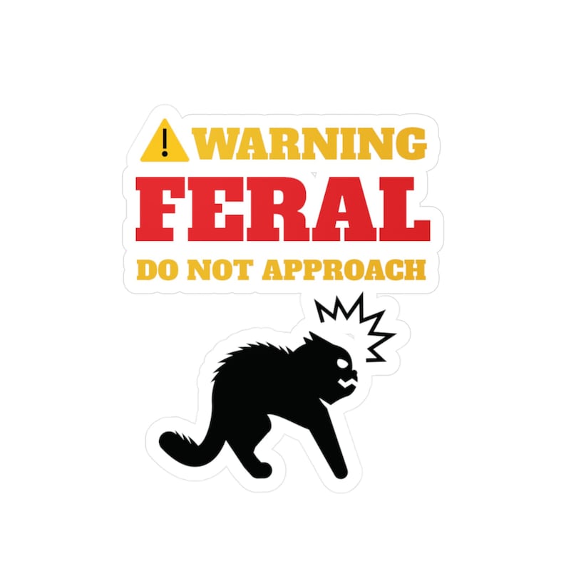 Warning Feral Cat Vinyl Decal: Funny Pet Owner Gift - Etsy