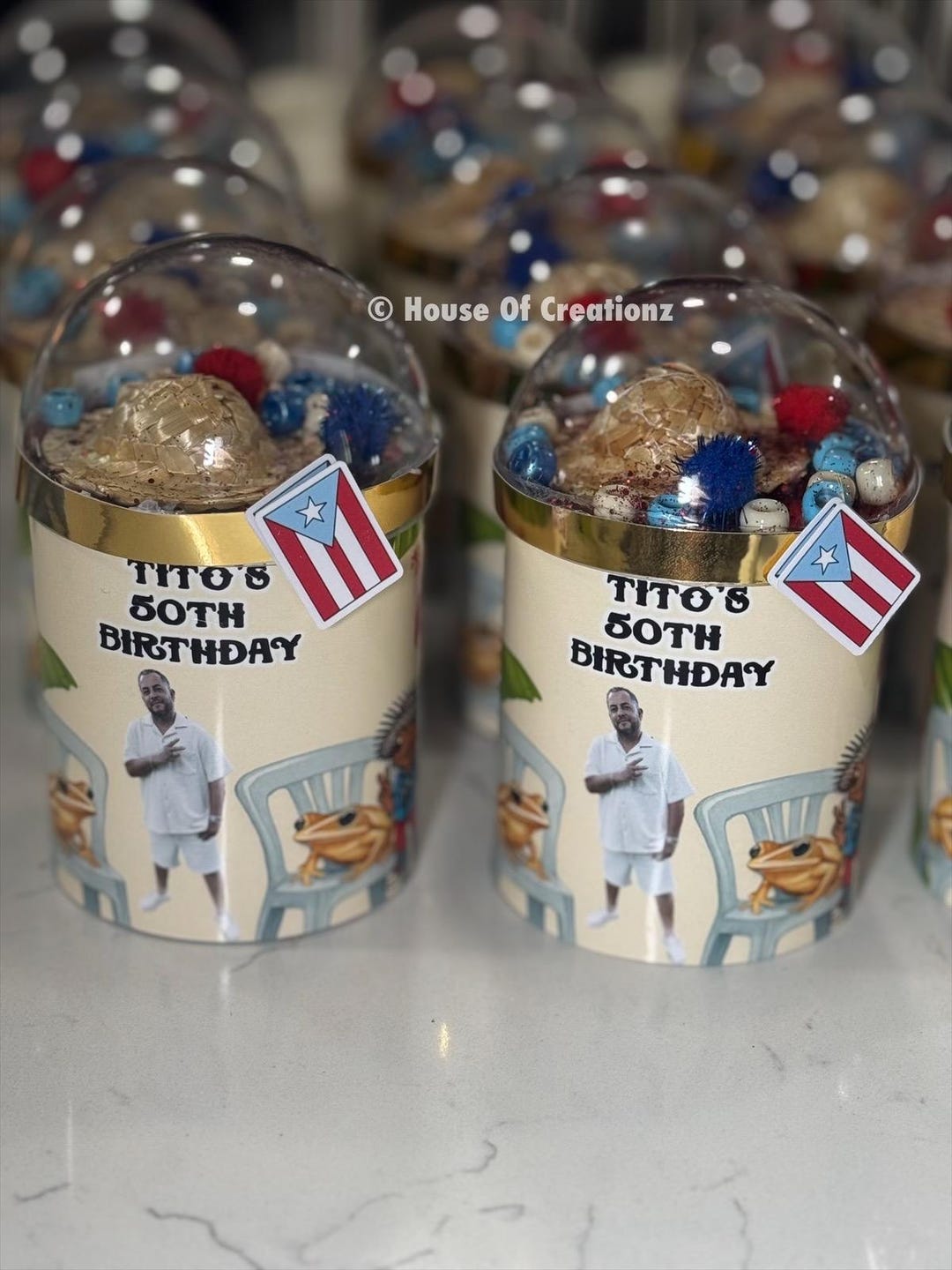 Bad Bunny DTMF Puerto Rican Themed Custom Pringles With 3d Dome - Etsy