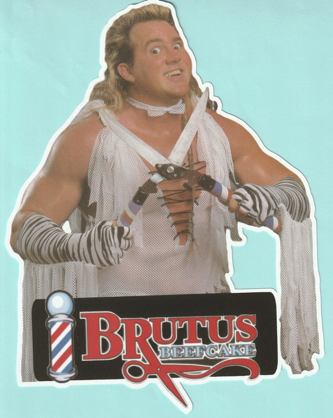 Vintage Style Brutus the Barber Beefcake WWF Wrestling T-shirt WWE ...