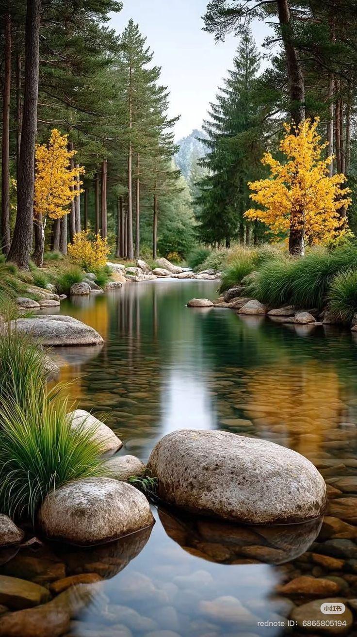 Forest River Landscape Print | Peaceful Nature Photography (digital ...