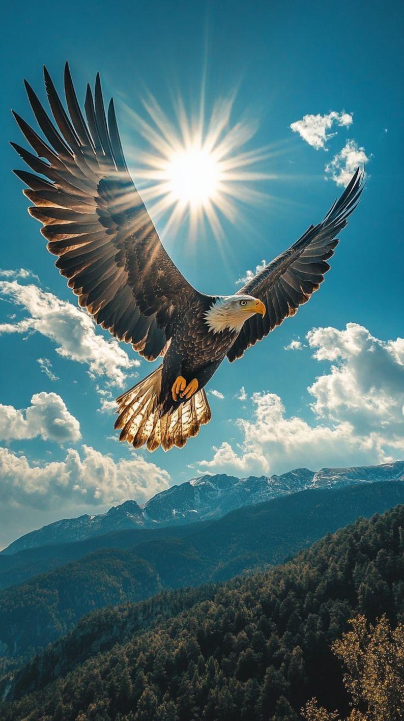 Soaring Eagle With Sunlight Wall Art – Majestic Wildlife Digital Print ...