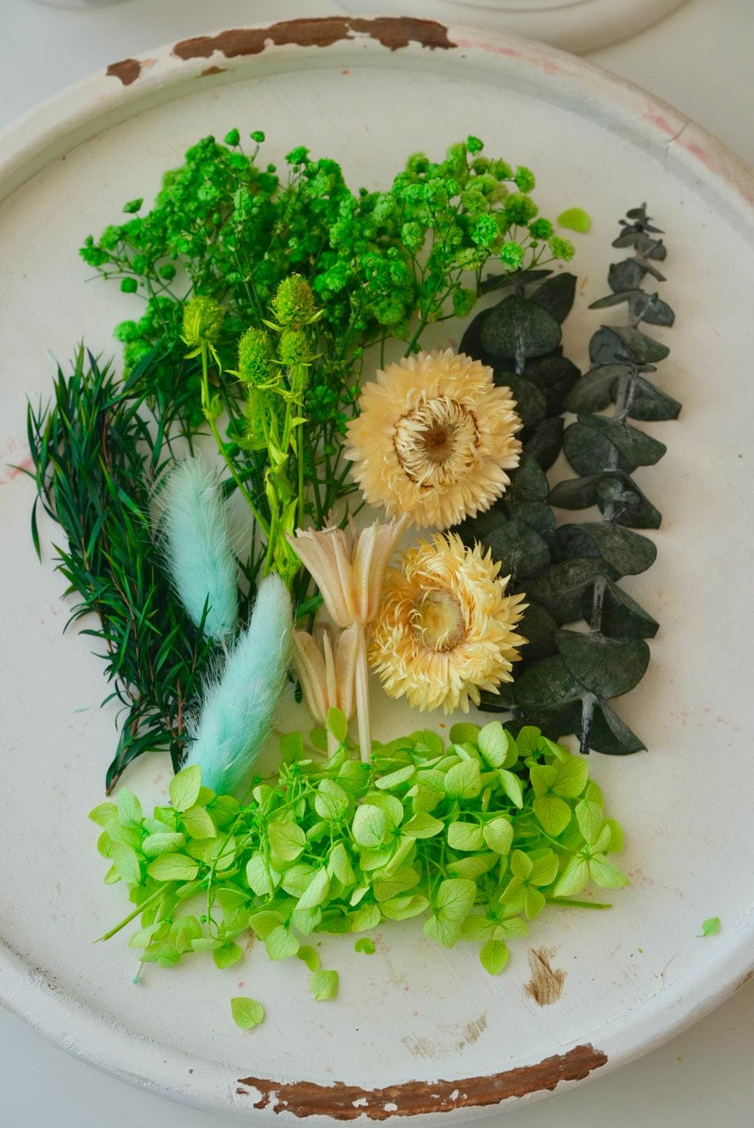 Green Dried Flower Set, Assorted Dried Flowers & Natural Leaves, Boho ...