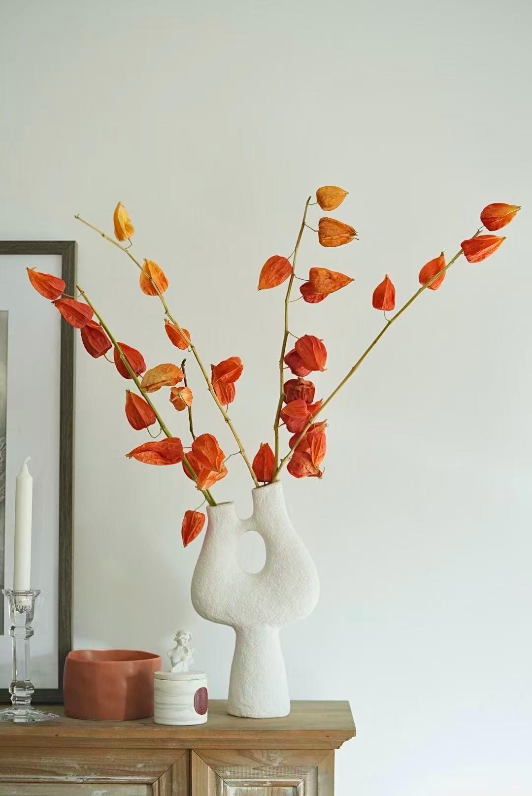 5pcs Dried Orange Chinese Lantern Stems –dried Flowers | Rustic Home ...