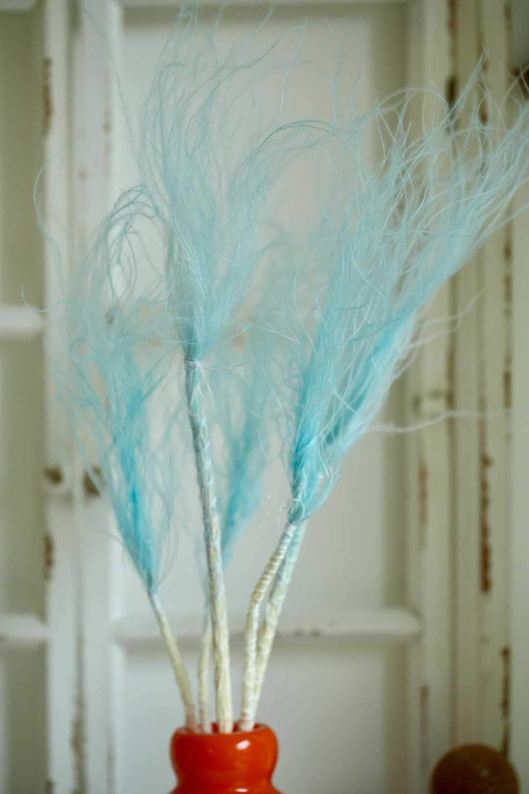 Baby Blue Dried Feather Grass With Stems: Natural Boho Chic Vintage ...