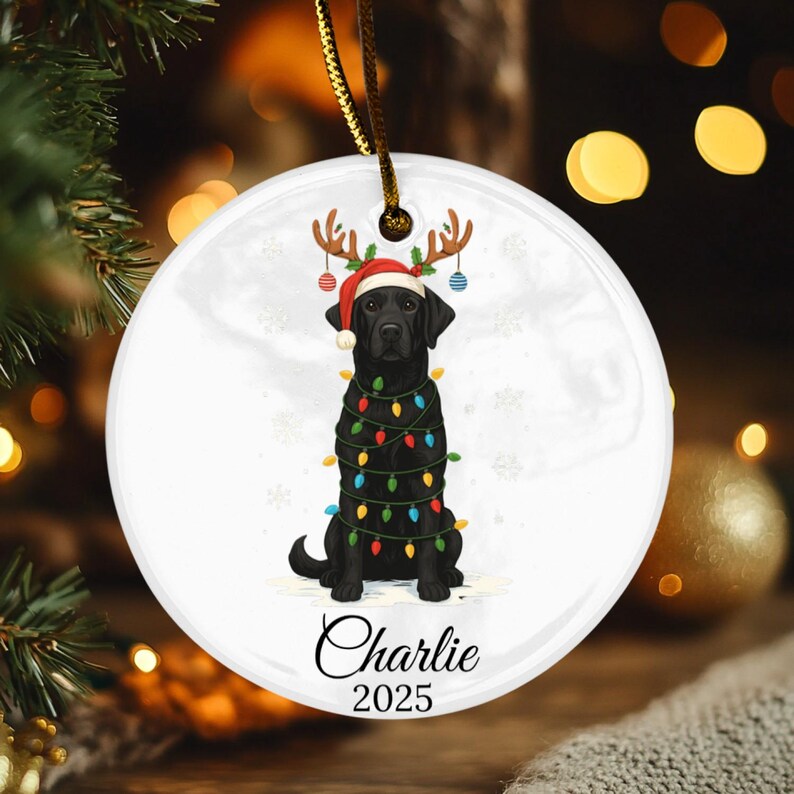 Personalized Dog Christmas Ornament 2025 | Custom Pet Name Ornament ...
