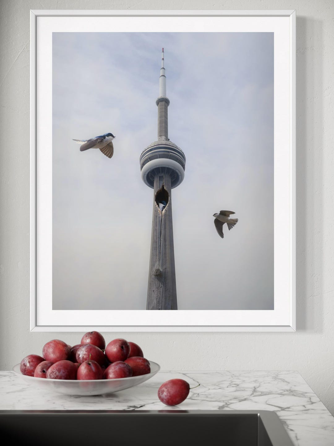 Toronto CN Tower Art Print: Birds in Flight, Urban Wildlife Photography ...