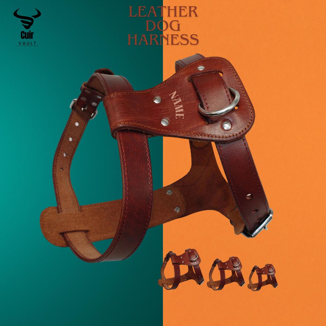 Personalized Leather Dog Harness, Custom Engraved Pet Gear - Etsy