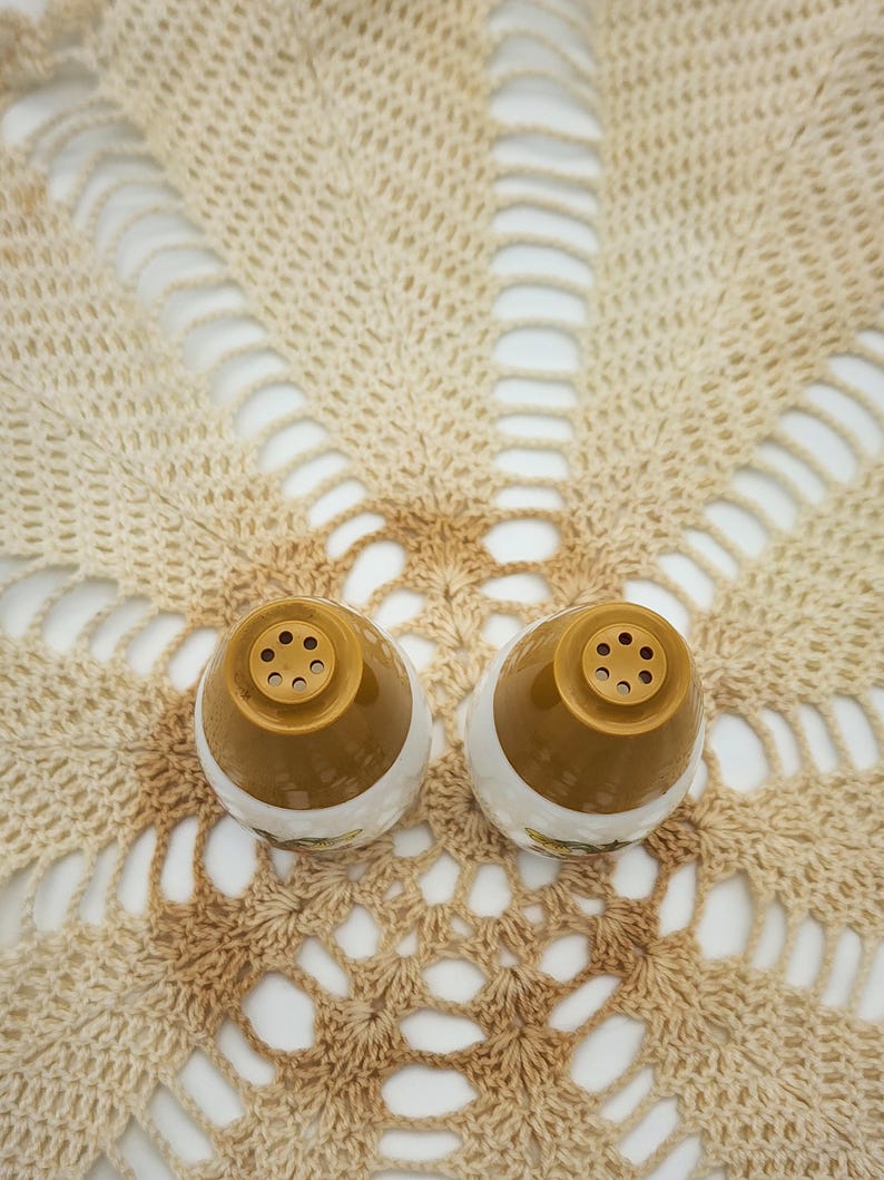 Vintage Indian Summer Salt and Pepper Shakers by Westinghouse | Milk ...