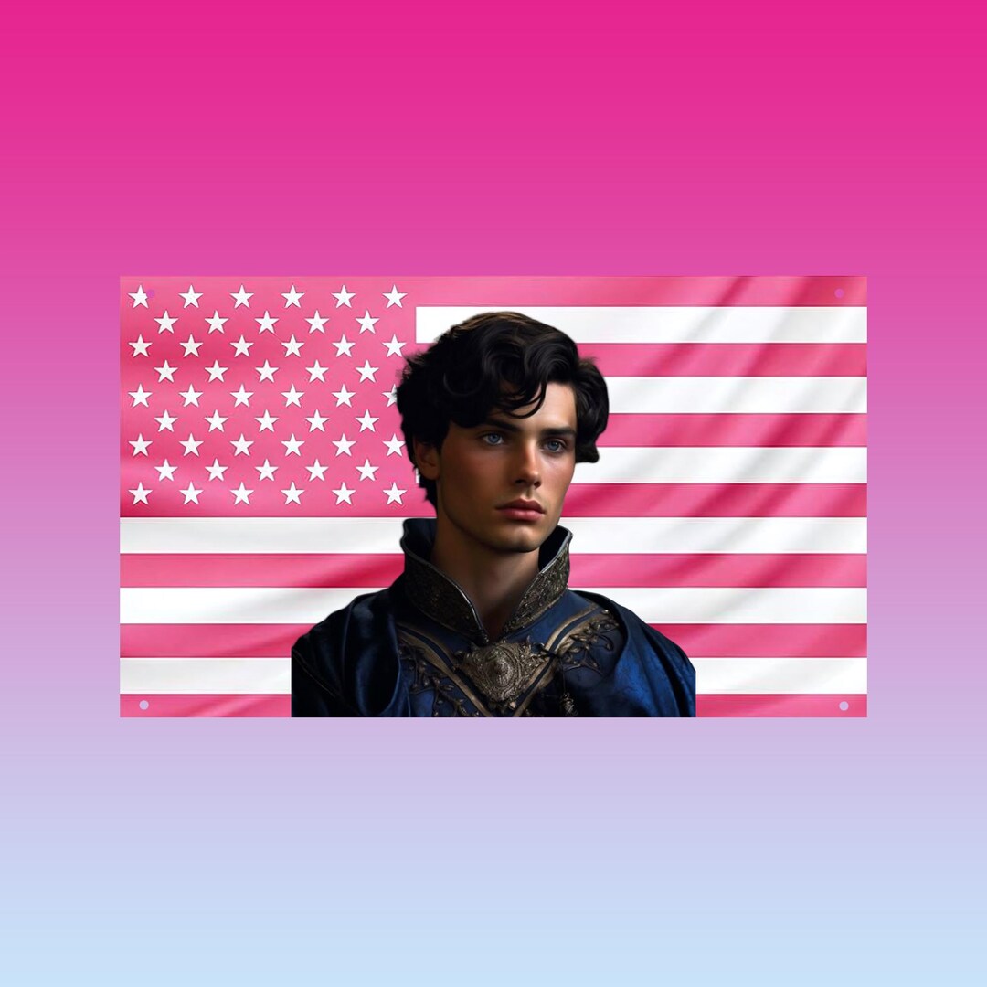 Dorian Havilliard Pink USA Flag | Throne of Glass Hot Bookish Tapestry ...