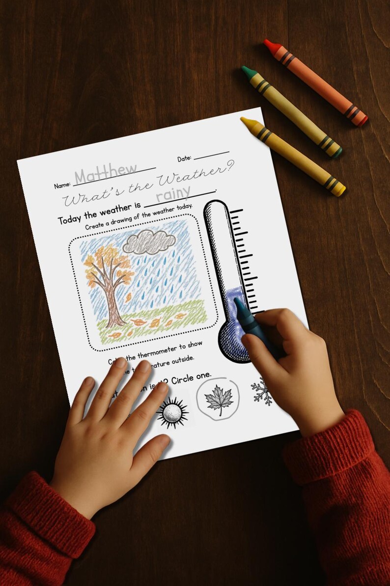 Weather Worksheet | Daily Weather Chart for Kids | Homeschool Nature ...