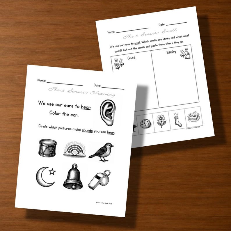 Five Senses Worksheets | Sight, Touch, Taste, Hearing, Smell Activities ...