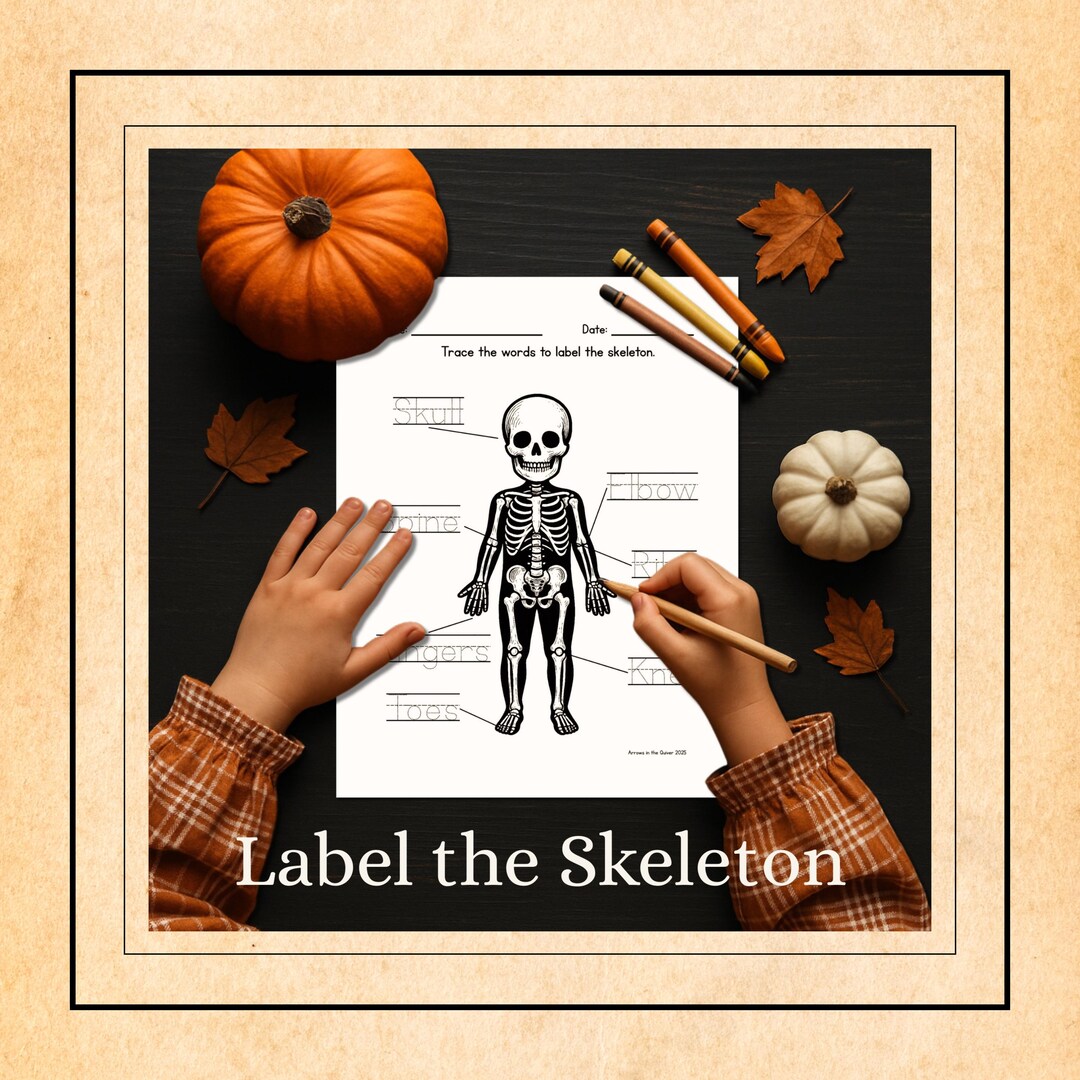 Skeleton Labeling Worksheet – Trace & Learn Bones | Fall Anatomy ...