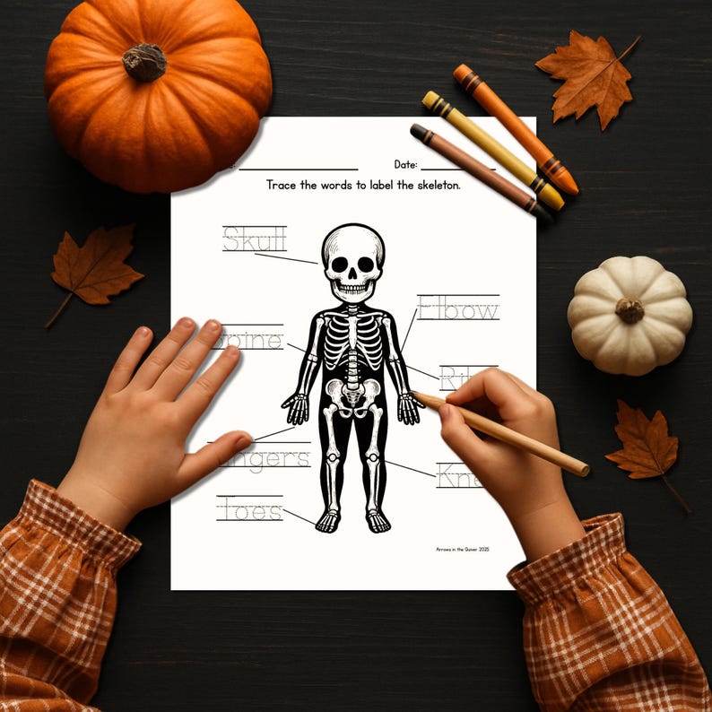 Skeleton Labeling Worksheet – Trace & Learn Bones | Fall Anatomy ...