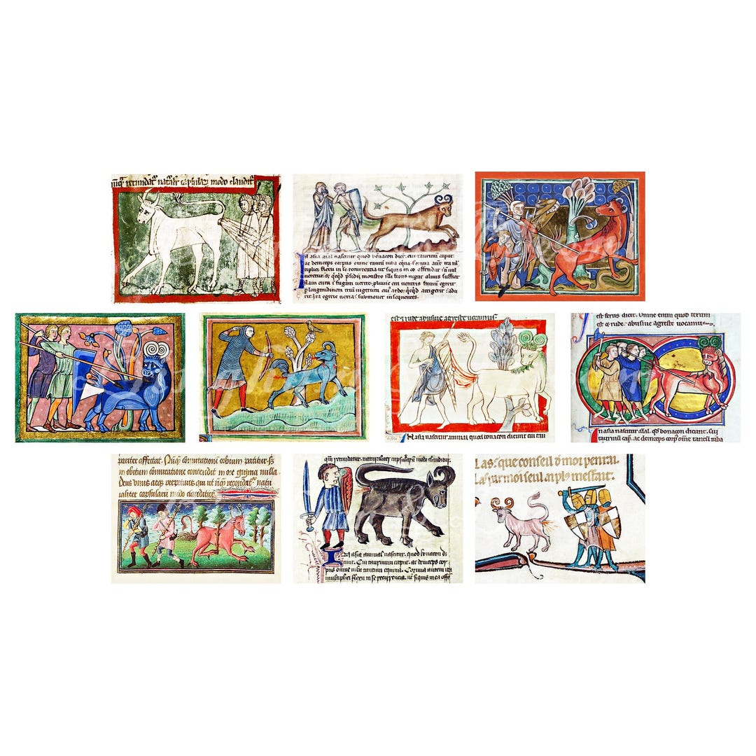 Medieval Bonnacon Cards: Mythical Pooping Beast Stationery Set of 10 ...