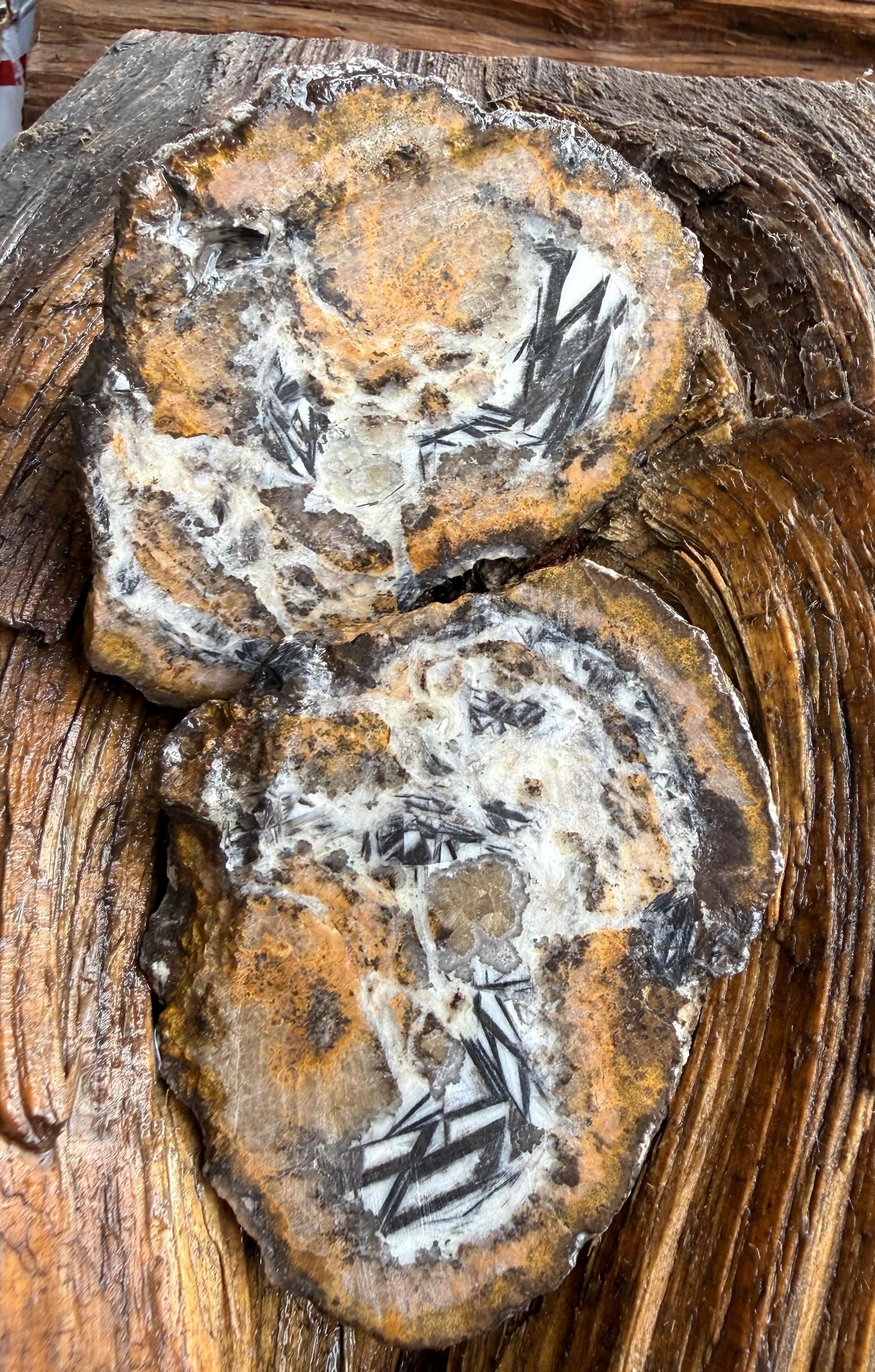 Mineral Nodule-tourmaline (schorl) Crystal Blades in Quartz / Pegmatite ...