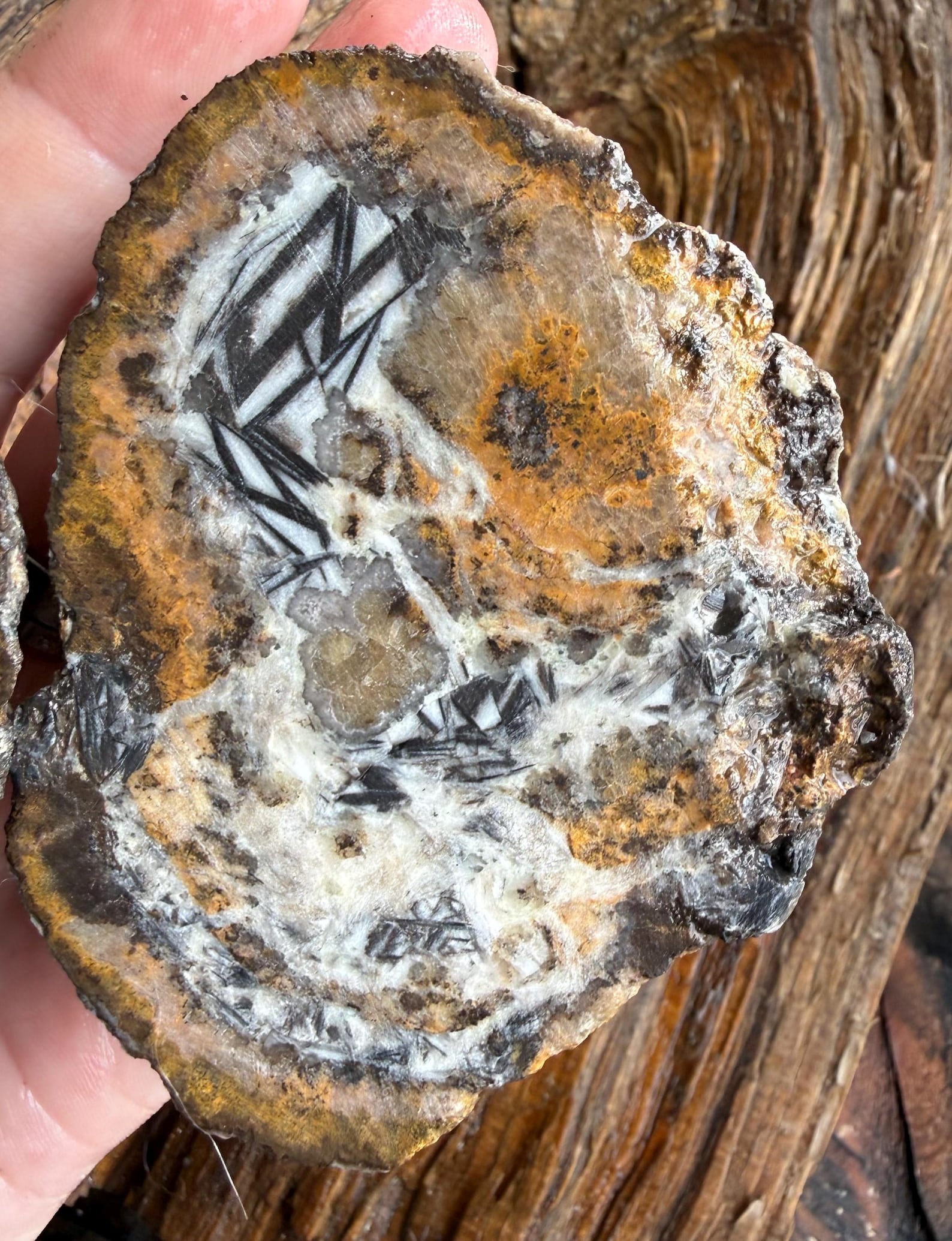 Mineral Nodule-tourmaline (schorl) Crystal Blades in Quartz / Pegmatite ...