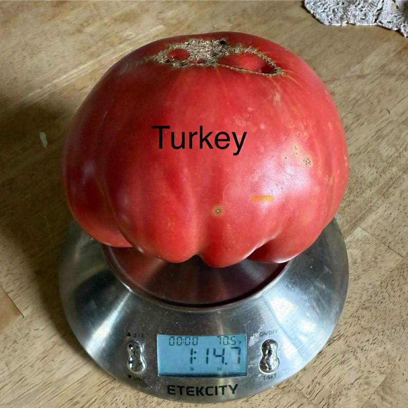 10 Heirloom Turkey Tomato Seeds. - Etsy