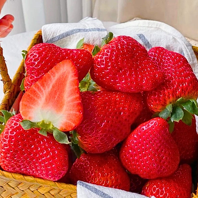 200 Cream Strawberry Seeds – Light-colored Strawberry Type, Hardy ...