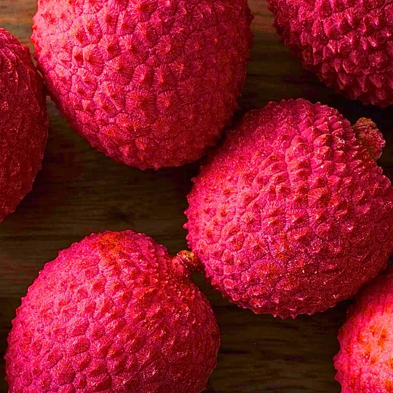 10 Lychee Tropical Fruit Seeds – Heirloom Litchi chinensis voor ...