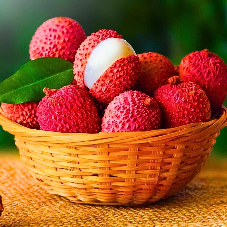 10 Lychee Tropical Fruit Seeds – Heirloom Litchi chinensis voor ...